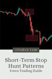 How to Identify and Trade ‘Short-Term Stop Hunt Patterns’ in Forex?